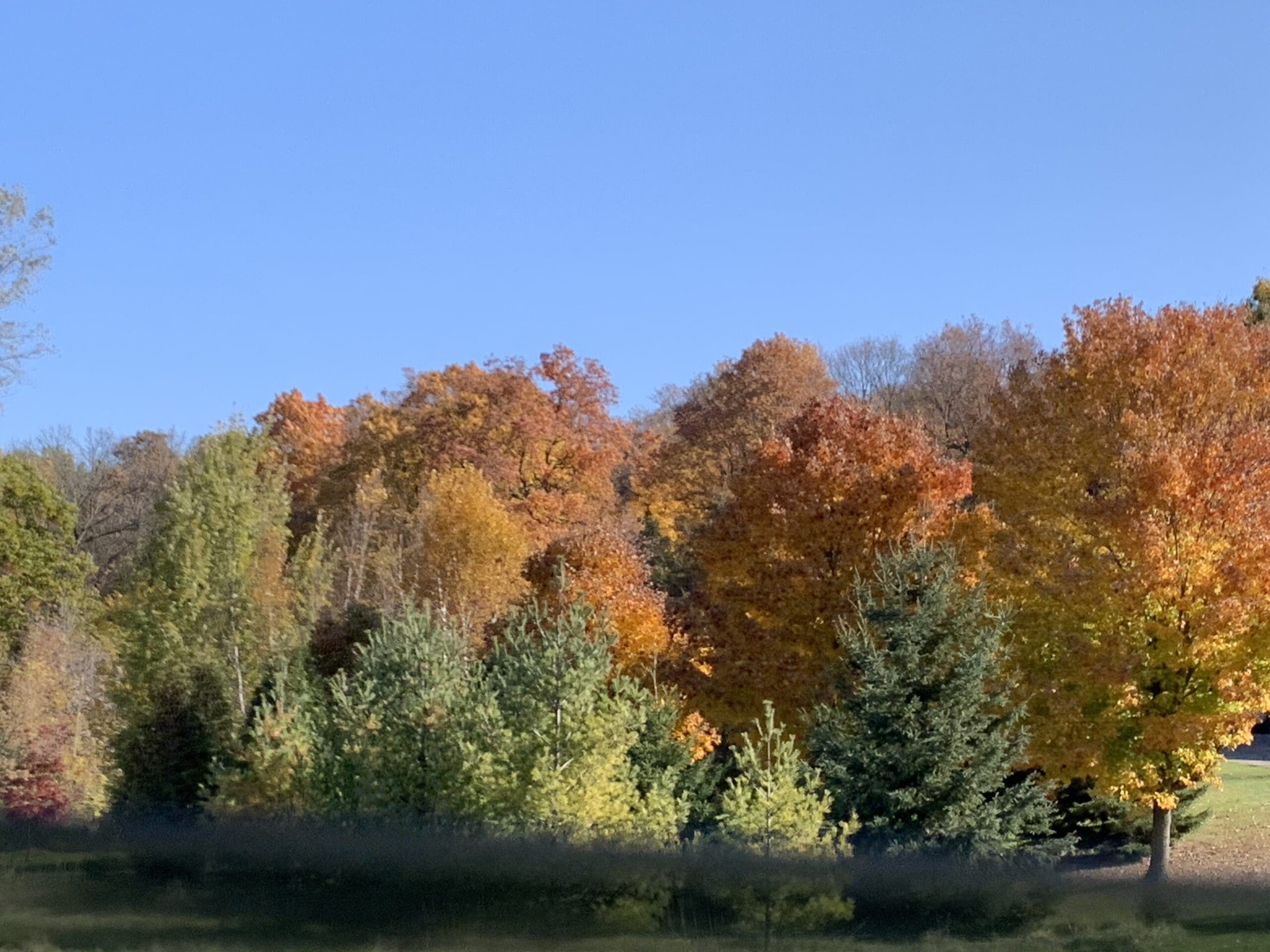 Updated Wisconsin Fall Color Report | Dairyland Sentinel