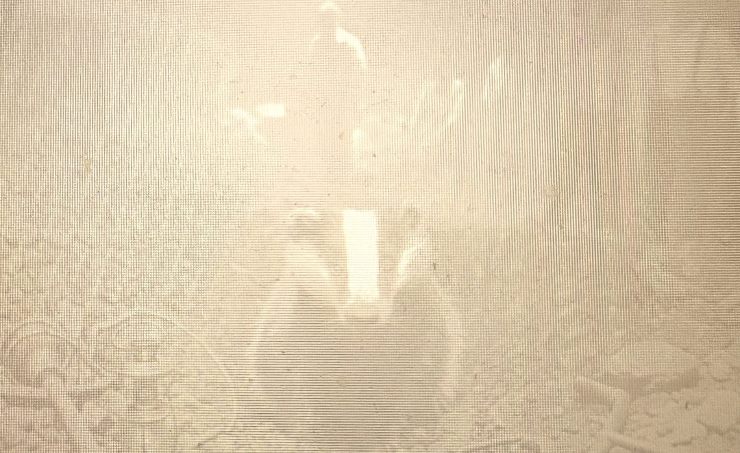 How Wisconsin Residents Became Known As Badgers | Dairyland Sentinel
